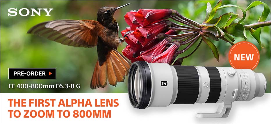 Free Delivery In USA